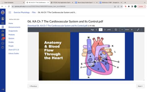 Chapter Ex Phys Flashcards Quizlet