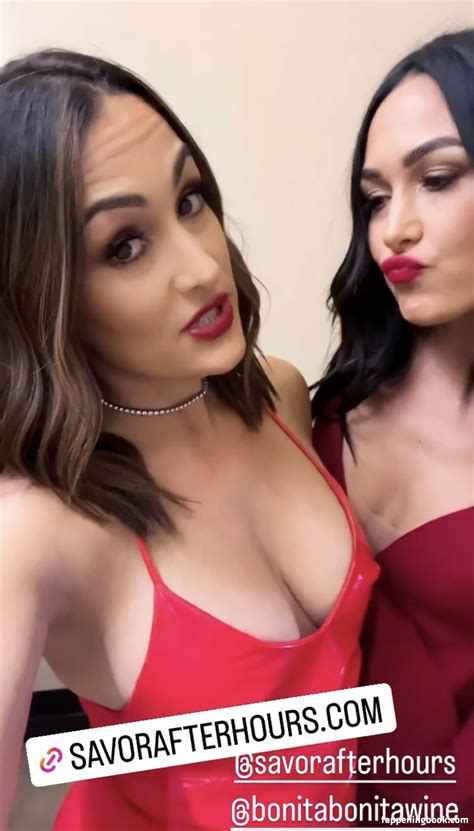 The Bella Twins Nude The Fappening Photo 6497857 FappeningBook