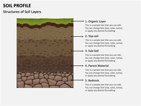 Soil Profile Illustration For PowerPoint And Google Slides PPT Slides