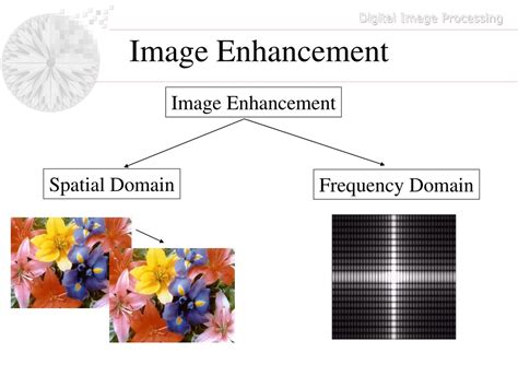 ppt image enhancement in the spatial domain powerpoint presentation free download id 8995509