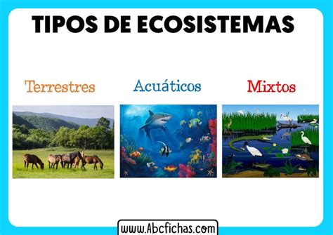 Clasificación y Tipos de Ecosistemas Naturales