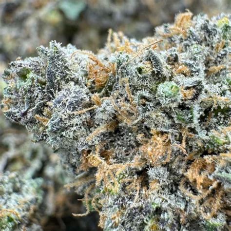 Strawberry Cough Weed Strain Buy Weed Online Canada THC