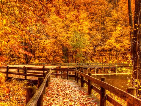 Aprender Acerca Imagen Fond D Cran Automne Gratuit Pour Ordinateur