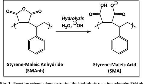 Simple Hydrolysis Reaction