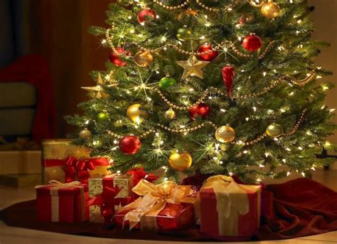 Qué es la navidad Definición concepto y significado Como Funciona Que