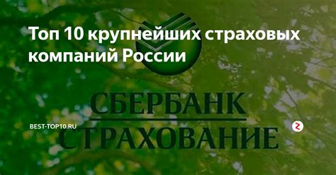 Топ 10 крупнейших страховых компаний России Best top10 ru Дзен