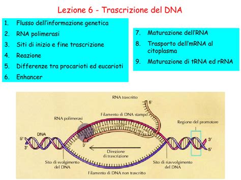 Presentazione Di PowerPoint
