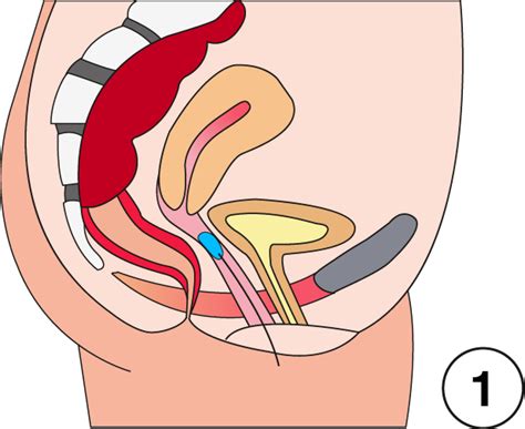 Kegels Definition Porn Sex Photos