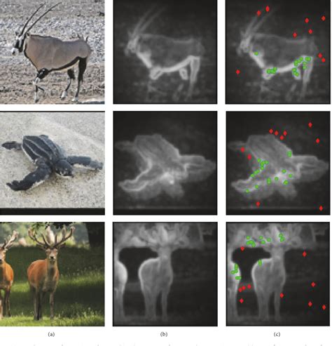 figure 1 from image classification based on convolutional denoising sparse autoencoder