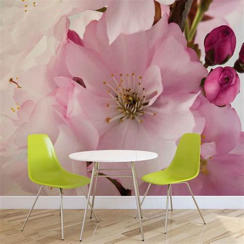 Fototapete Tapete Blumen Blüten Natur Rosa bei EuroPosters