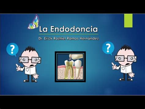 La endodoncia Qué es Cuanto cuesta Duele Porque me la van a