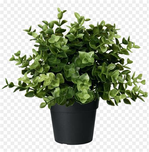 Artificial Potted Plant Oregano Png Image Ikea Artificial Plant Png