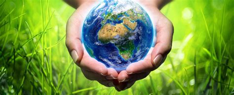 Conoce POR QUÉ ES IMPORTANTE CUIDAR EL MEDIO AMBIENTE