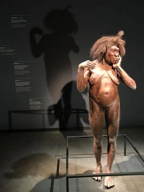 Recreation Of A Homo Erectus Female Who Lived C 2 Million Years Ago At