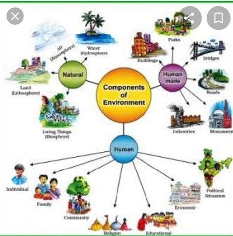 Datw A Flow Chart Of Components Of Environment Brainly In
