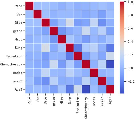 application of interpretable machine learning algorithms to predict distant metastasis in