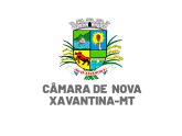 Concurso C Mara De Nova Xavantina Mt Cursos Edital E Datas Gran