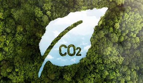 La Huella De Carbono Comprender Y Reducir Nuestro Impacto Ambiental