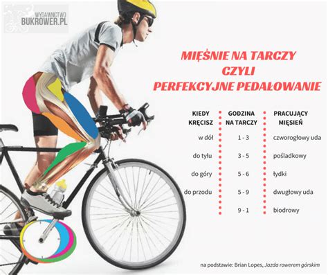 Komfort na dwóch kółkach prawidłowa pozycja na rowerze Wyprawy RoweLove