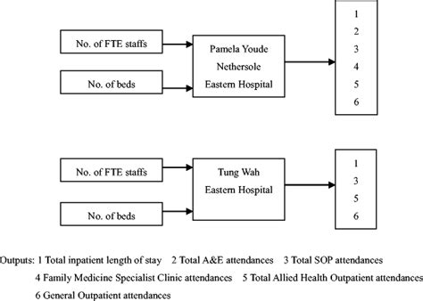 inputs and outputs of hospitals download scientific diagram