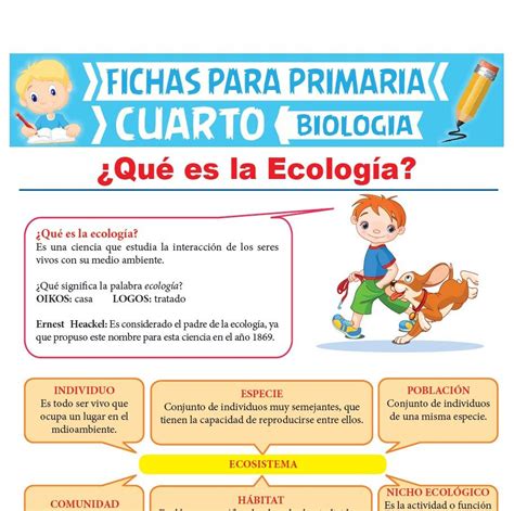 Que es La Ecología para Cuarto de Primaria Actividades Educativas