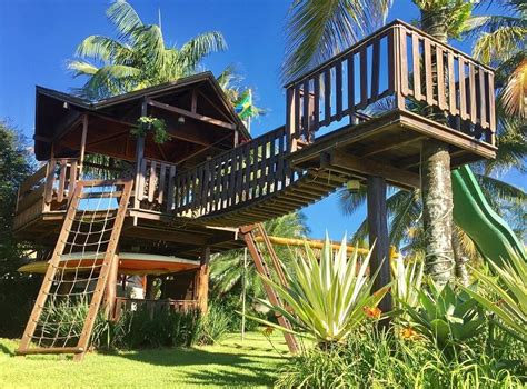 Casa na árvore simples saiba o que é preciso para ter uma