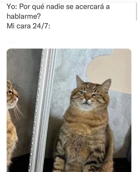 Yo Por qué nadie se acercará a hablarme Mi cara 24 7 Memes