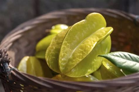 Frutas T Picas Do Nordeste Amei E Cozinhei