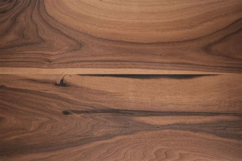 2 170 American Black Walnut Images Stock Photos 3D Objects Vectors