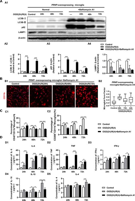 PrPC Skewed The Microglia Toward An Anti Inflammatory State By