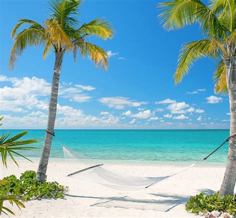 Eleuthera Harbour Island Best Pink Sand Beaches In The Bahamas