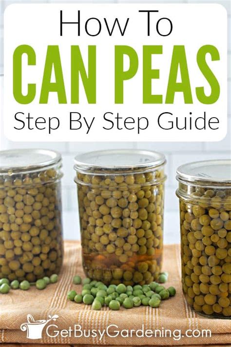 Mettre des pois en conserve facilement et en toute sécurité Guide