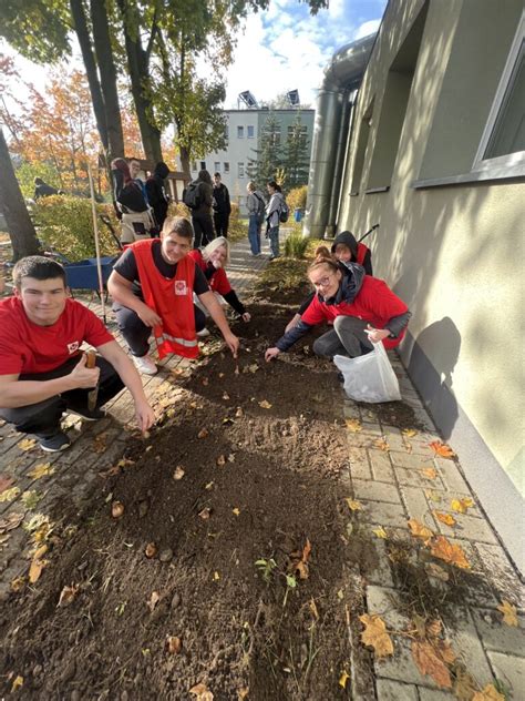 Pola Nadziei sadzenie cebulek żonkili Zespół Szkół Budowlanych