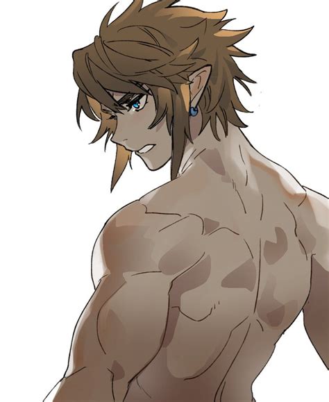 Share Kuva Twilight Princess Link Shirtless Abzlocal Fi