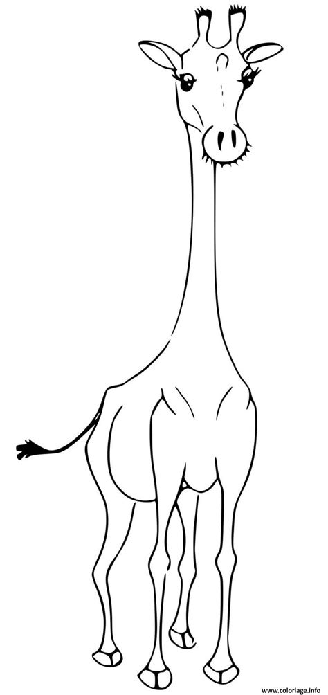 Coloriage Une Girafe Sans Ses Taches Dessin Girafe à imprimer