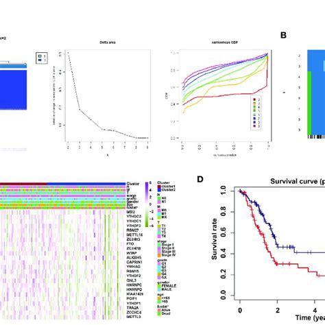 correlation of consensus clustering for m6a rna methylation regulators download scientific