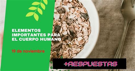 Cuáles elementos químicos son importantes para el buen funcionamiento