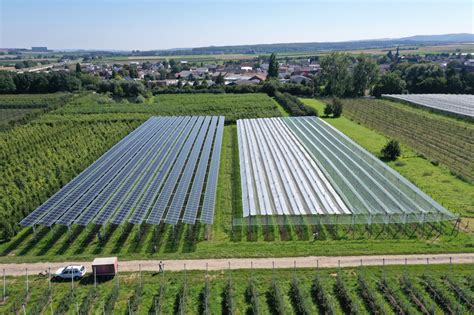 Agri PV im Obstbau Kulturschutz für Apfelbäume Solarserver