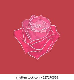 Red Rose Vector Stock Vector Royalty Free