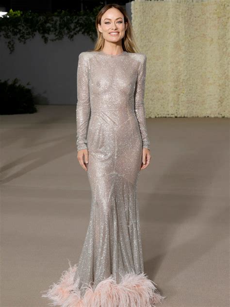 Julia Roberts Geehrt Olivia Wilde Im Transparent Dress Bei Museums