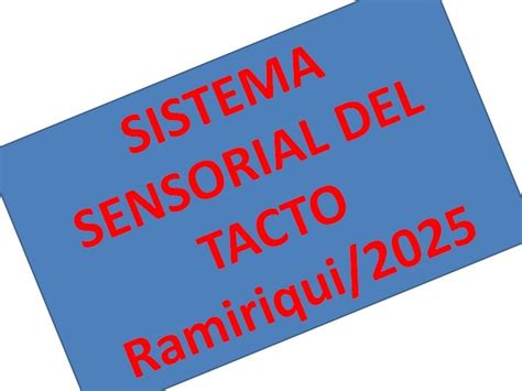 PDF Sentido Del Tacto Piel PDFSLIDE NET