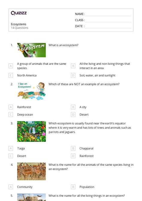 Ecosystems Worksheets For St Year On Quizizz Free Printable