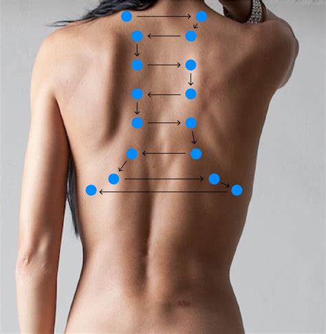 Posterior And Lateral Thorax Auscultation Introduction To Health