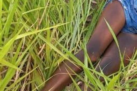 Corpo de mulher é encontrado em estado de decomposição em MT Cáceres