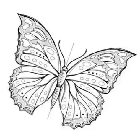 20 Simple Butterfly Drawing Ideas How To Draw Butterfly Julie Ann Art