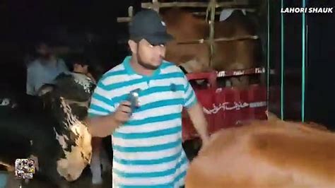 Camel Mandi Sasti Ho Gai Live Soda Kitne Main Bakra Eid