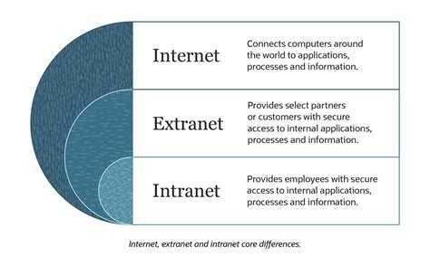 Intranet Vs Extranet Understanding The Differences Mesh Intranet