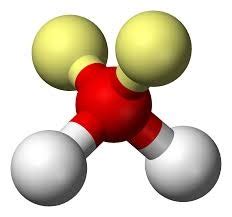 VSEPR Theory Shapes Diagram Quizlet