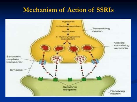PPT Antidepressants SSRIs NaSSA SARI SNRIs And NDRI PowerPoint