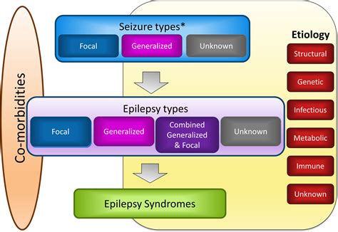 ilae classification of the epilepsies position paper of the ilae commission for classification